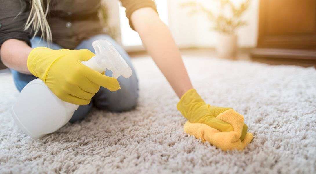 How to Deep Clean and Maintain Your Carpet: A 9-Step Guide